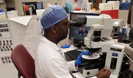 What is a GI Pathologist? – Rodger C. Haggitt Gastrointestinal ...