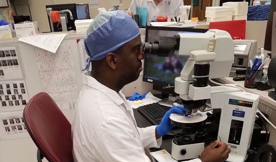 What is a GI Pathologist? – Rodger C. Haggitt Gastrointestinal ...