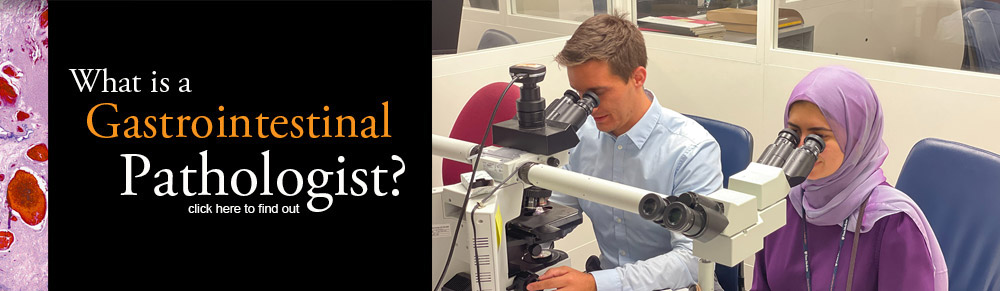 Rodger C. Haggitt Gastrointestinal Pathology Society